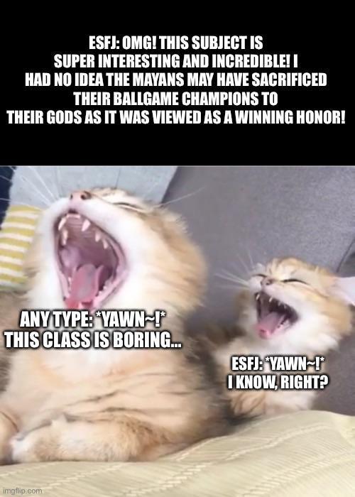 High Fe users be like.... | Scrolller