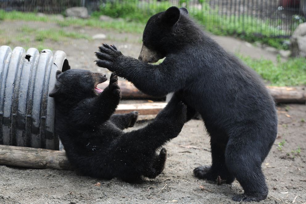 High five! | Scrolller