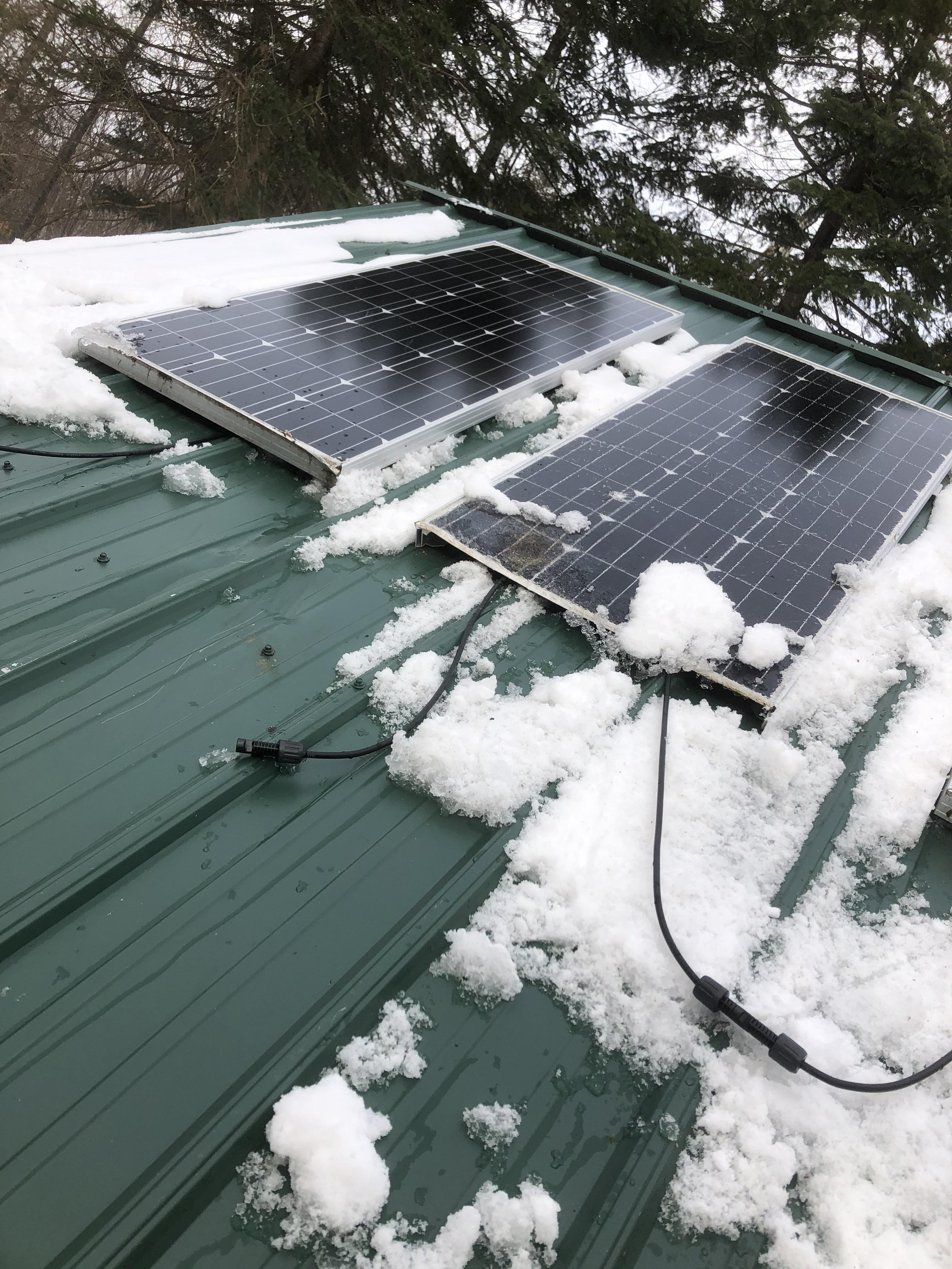 High winds knocked a tree on to my solar panels | Scrolller