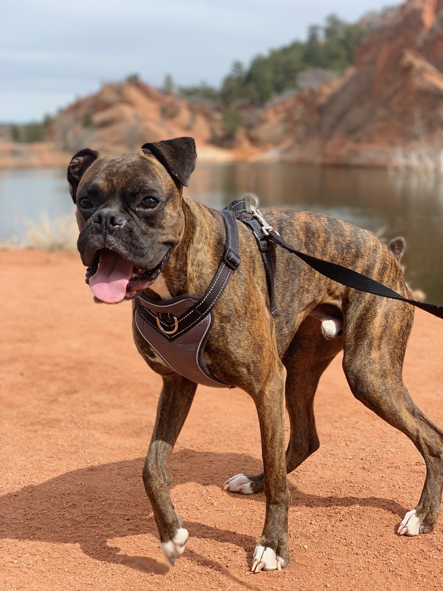 Hike boi | Scrolller