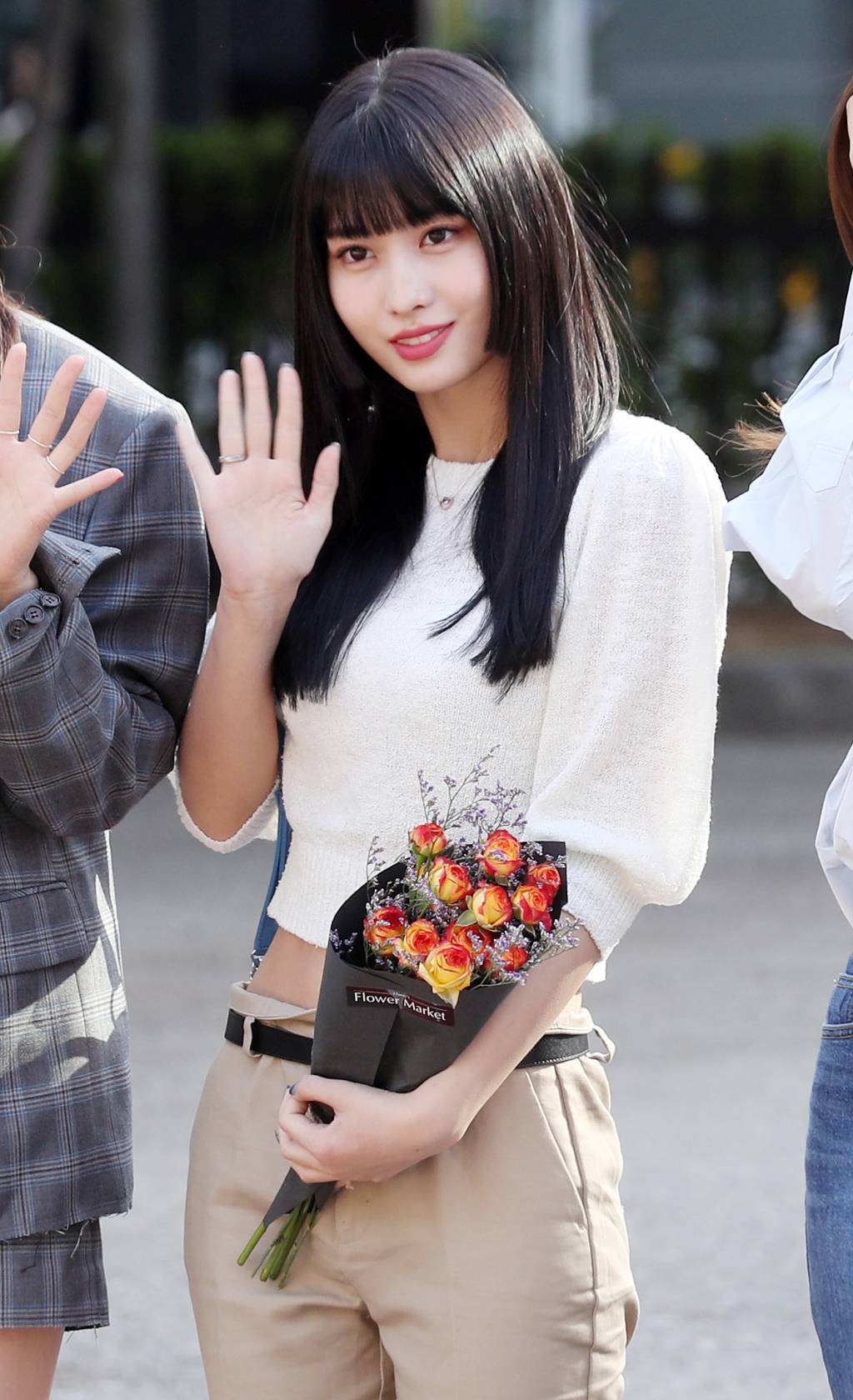 Hime Momo | Scrolller