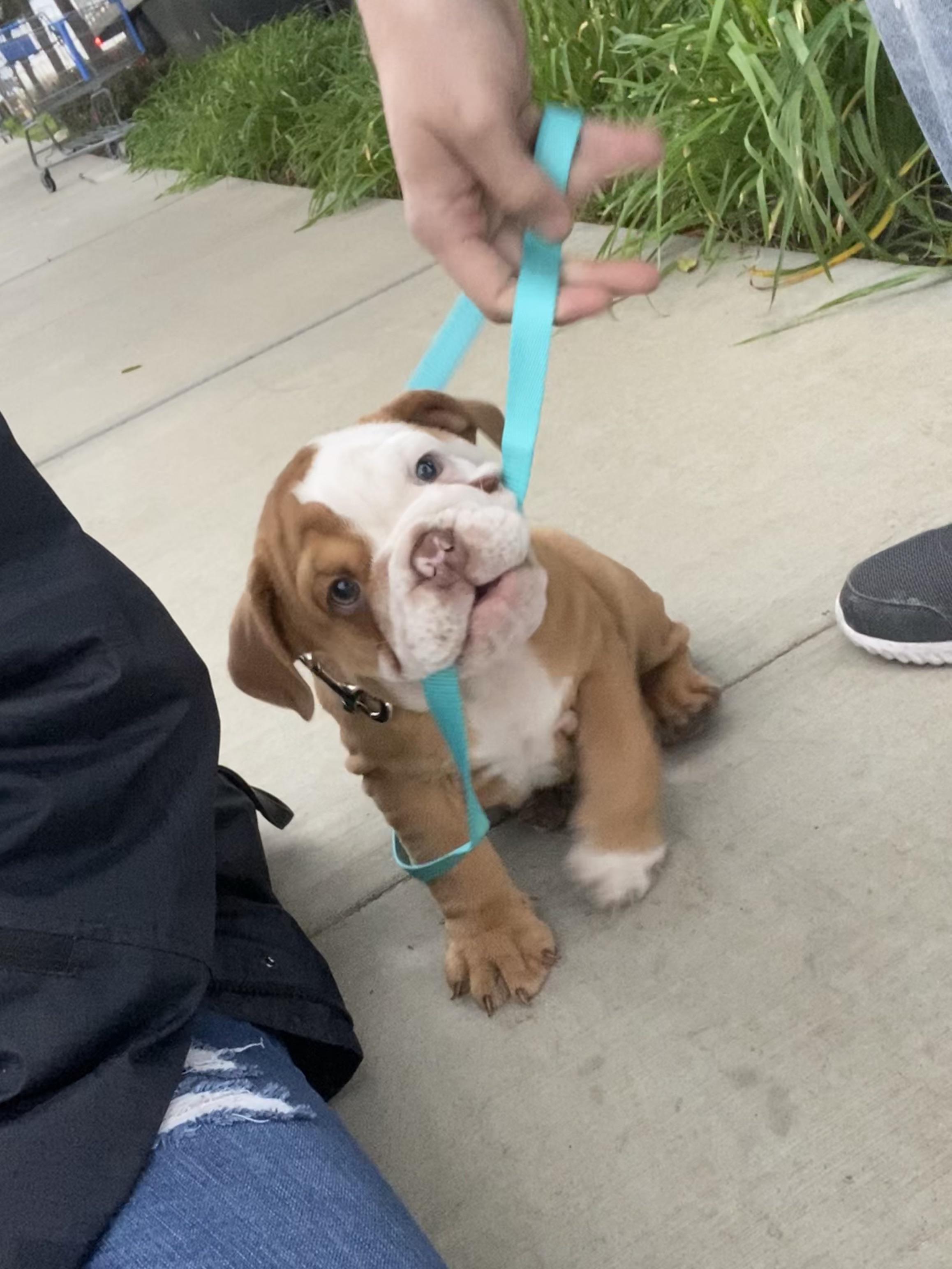 Hims was so small🥺 | Scrolller