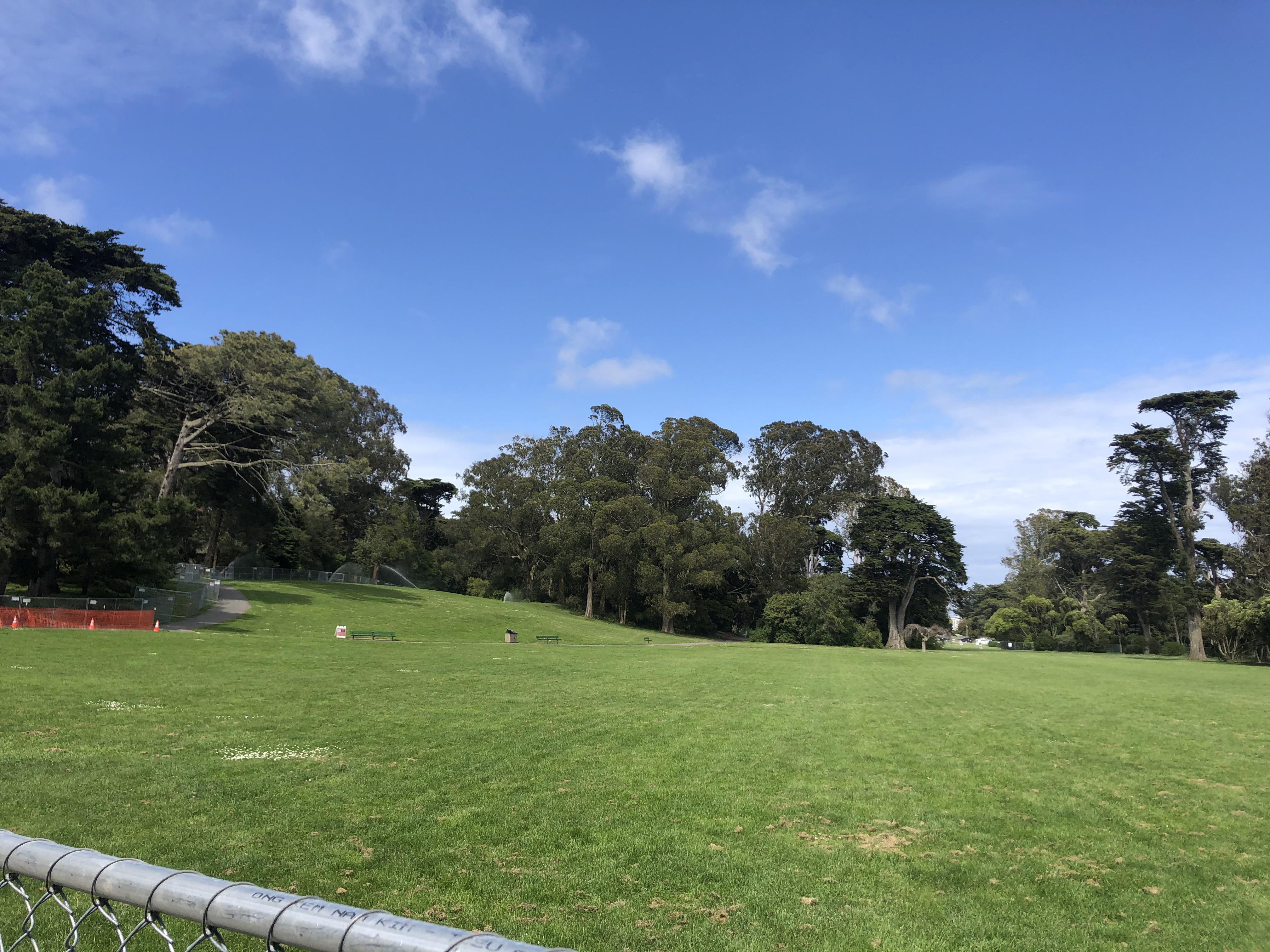 Hippie hill empty at 4:20 | Scrolller