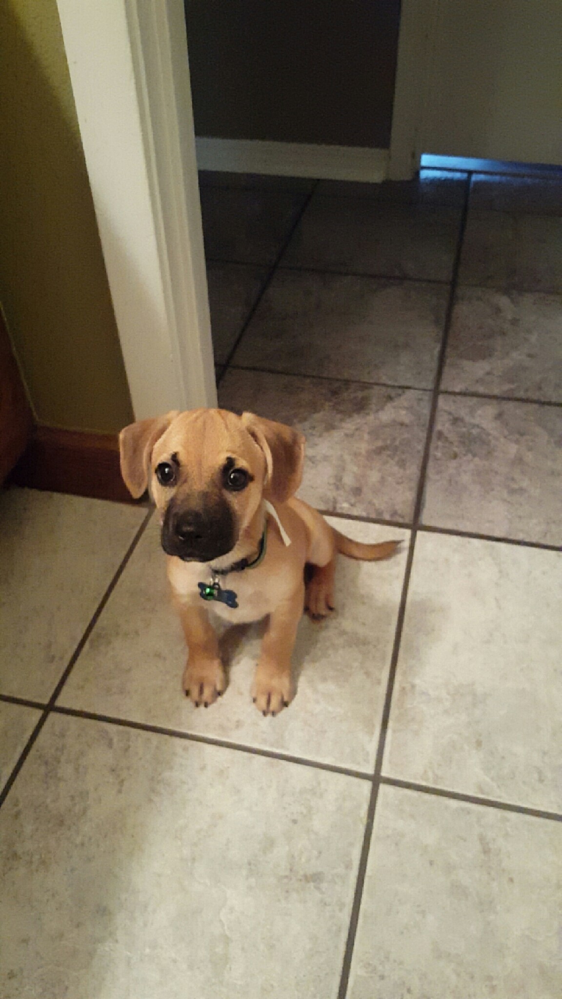 His best bargaining tool is the eyebrows | Scrolller