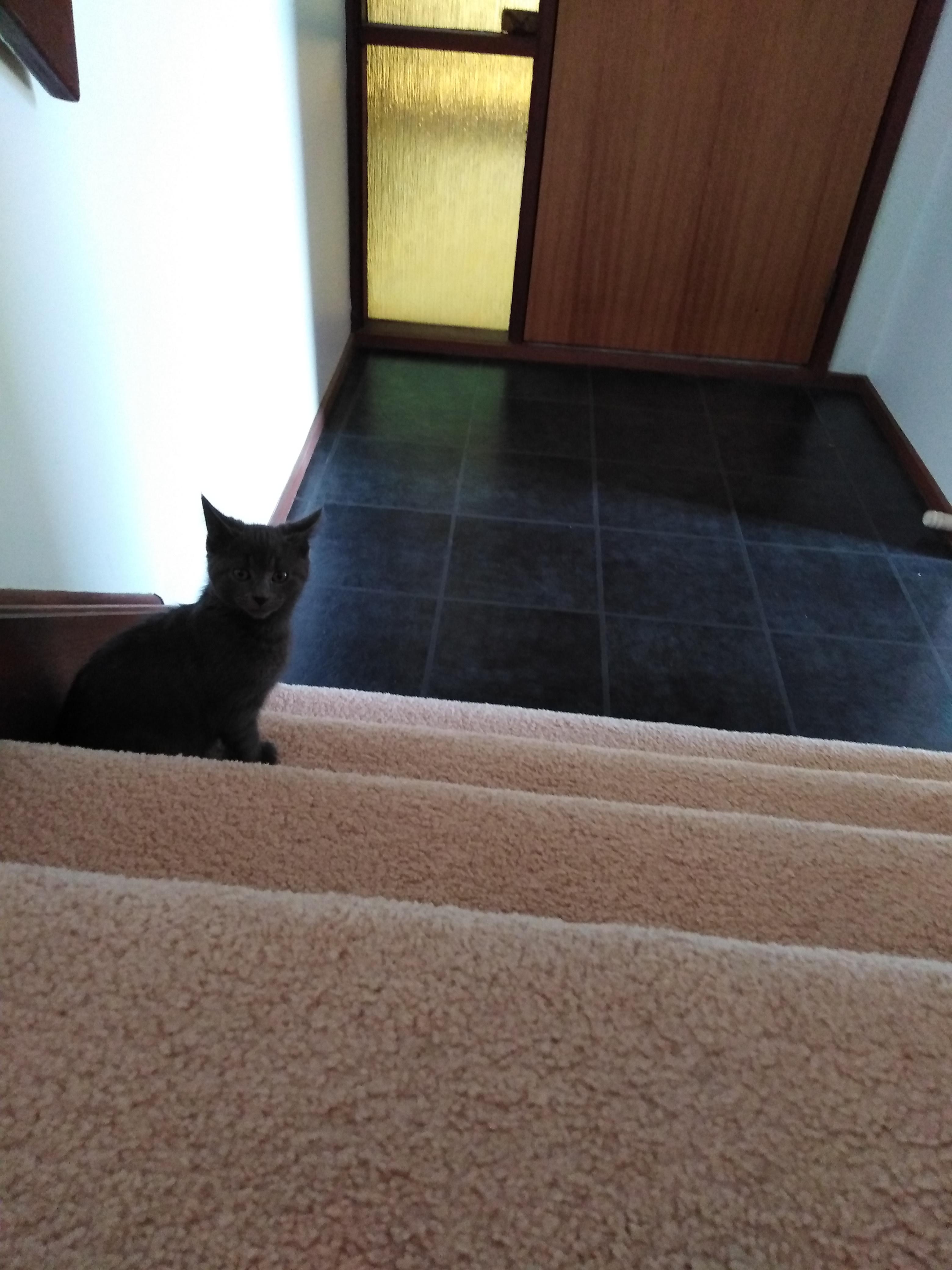 His first day home | Scrolller