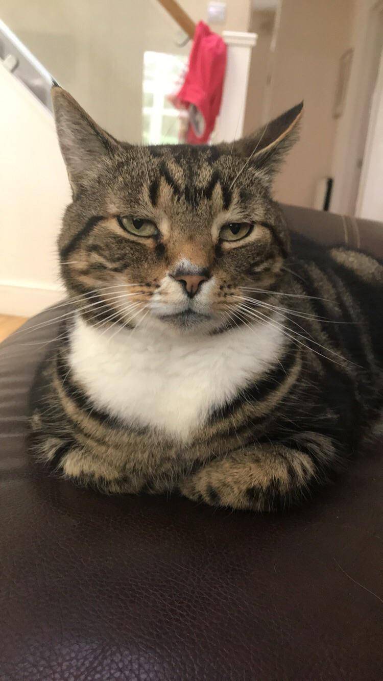 His first documented loaf | Scrolller