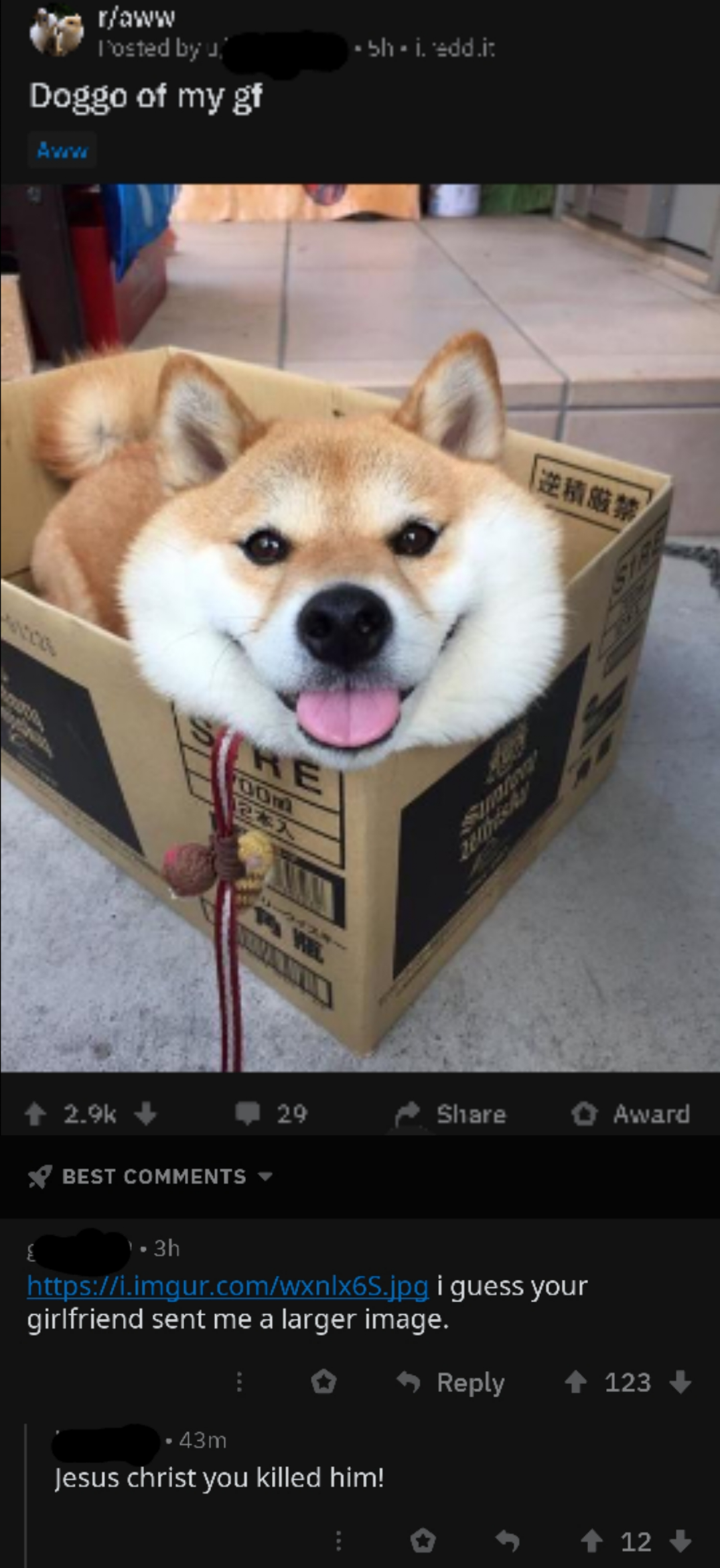 His "girlfriend's" dog. | Scrolller