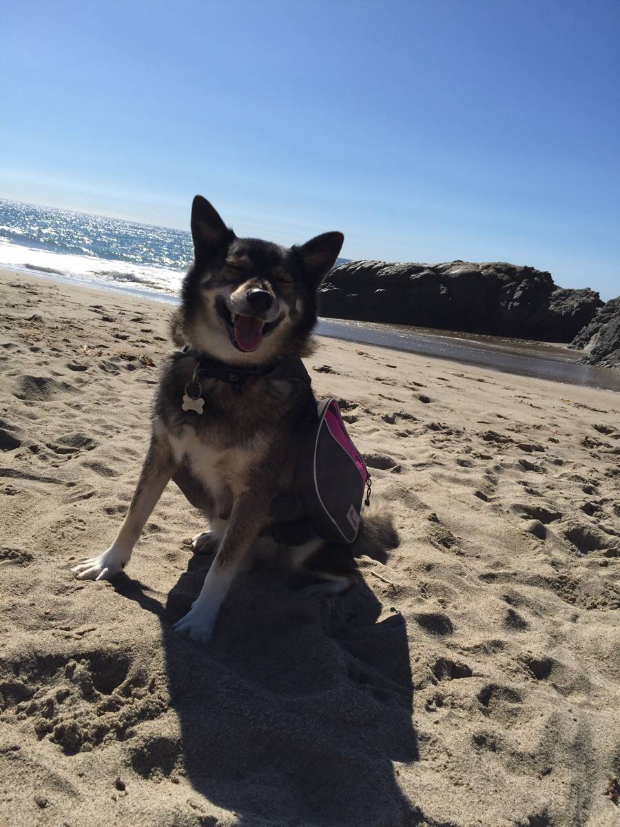 His happy place :) | Scrolller