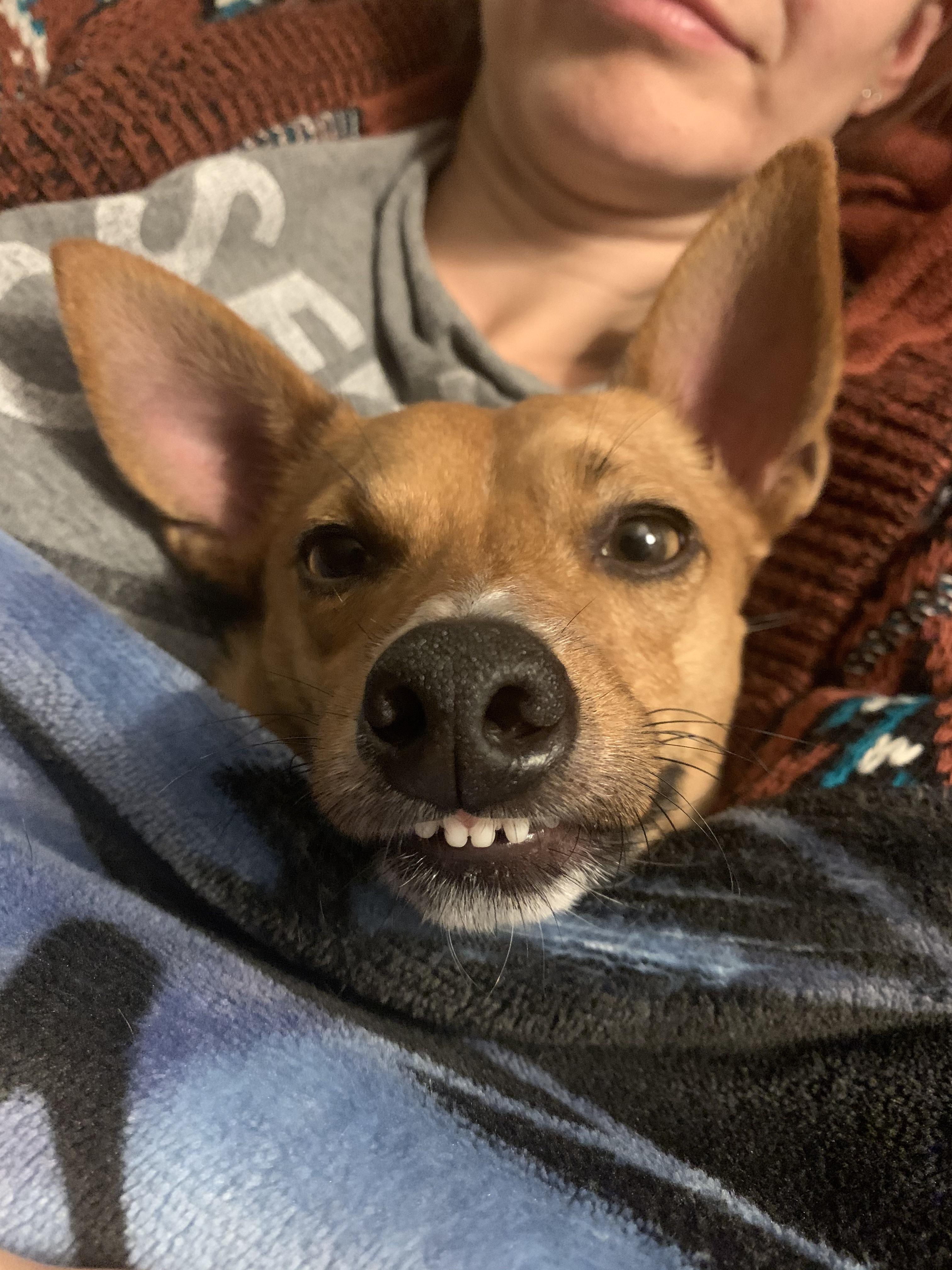 His permanent face. | Scrolller