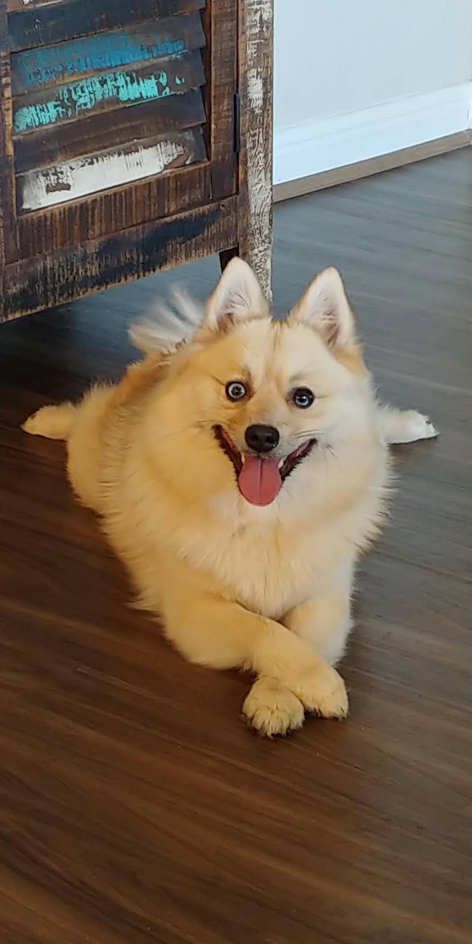 His smile is contagious! | Scrolller