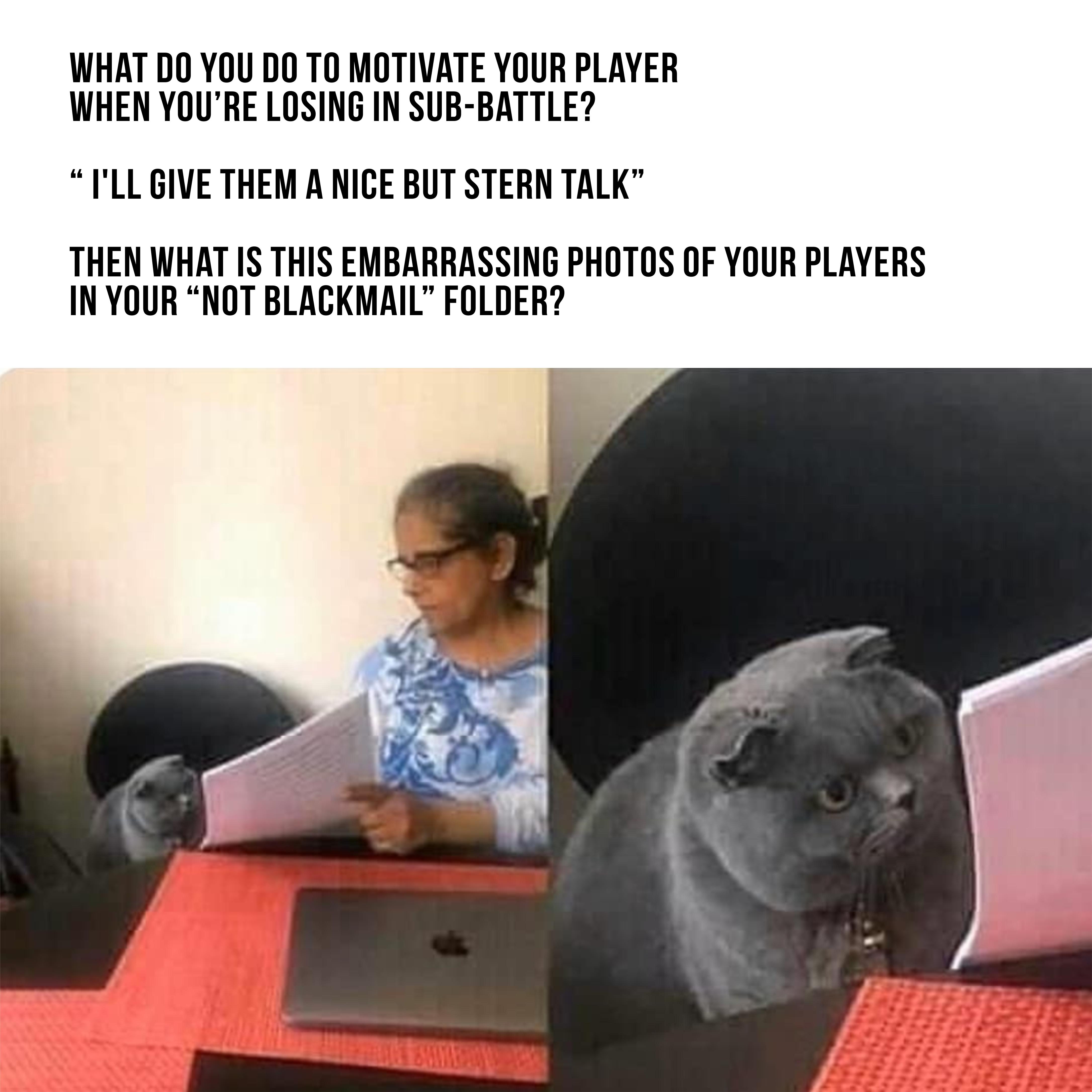 Hmm... Interesting. | Scrolller