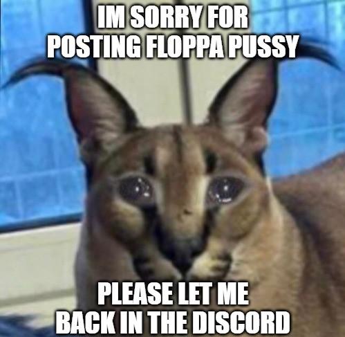 hoe floppa | Scrolller