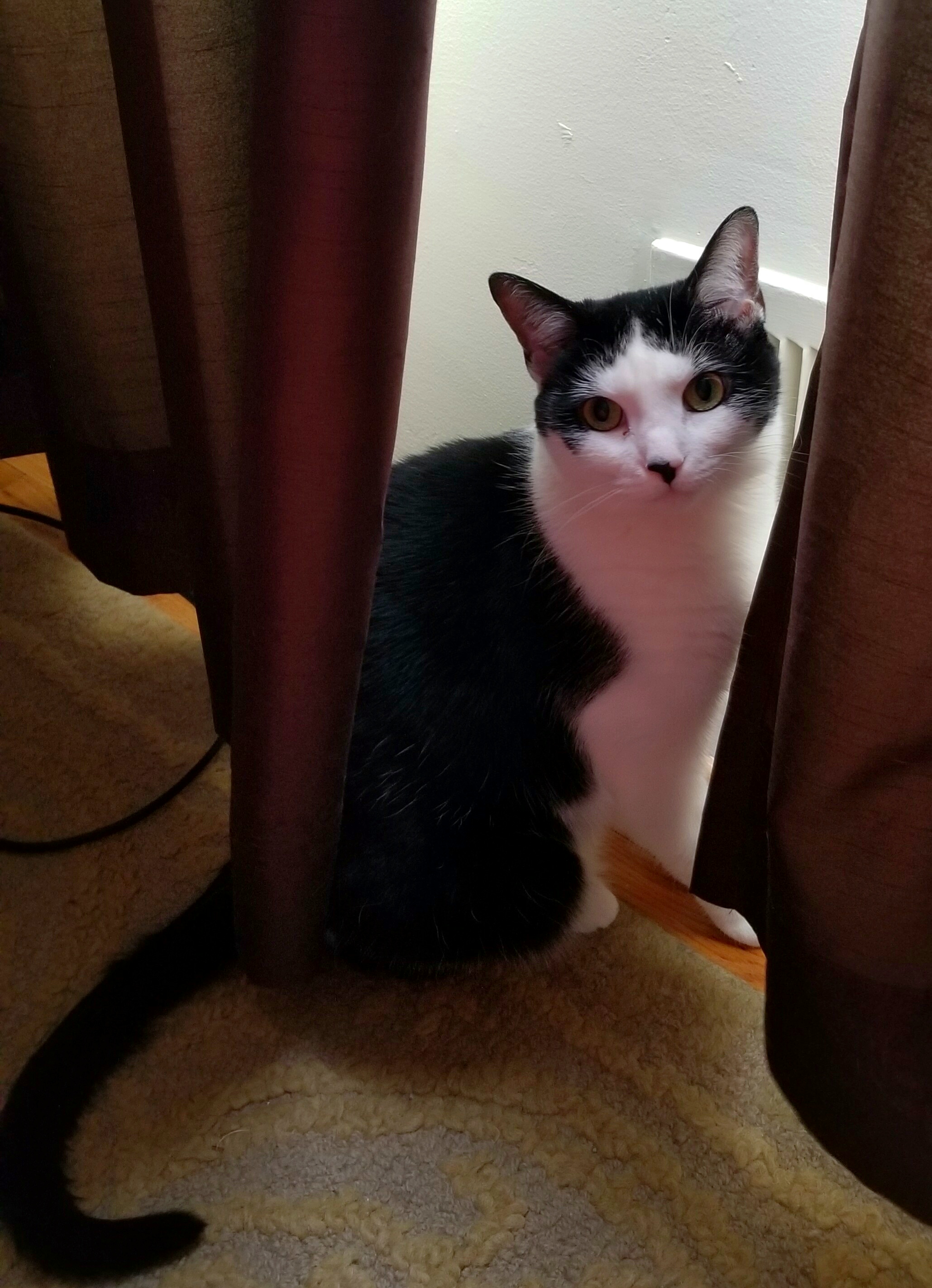 Hogging the vent | Scrolller