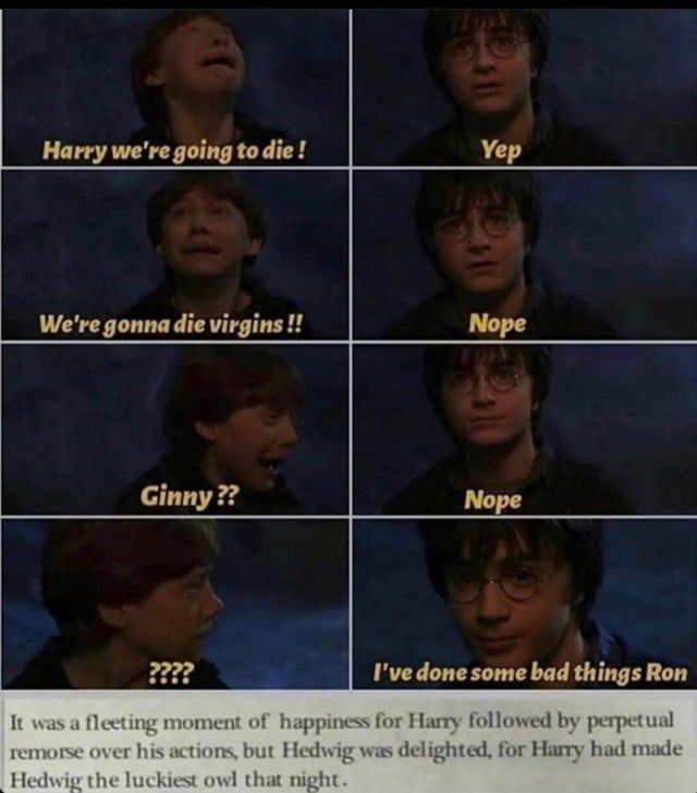 Holesome 100 | Scrolller