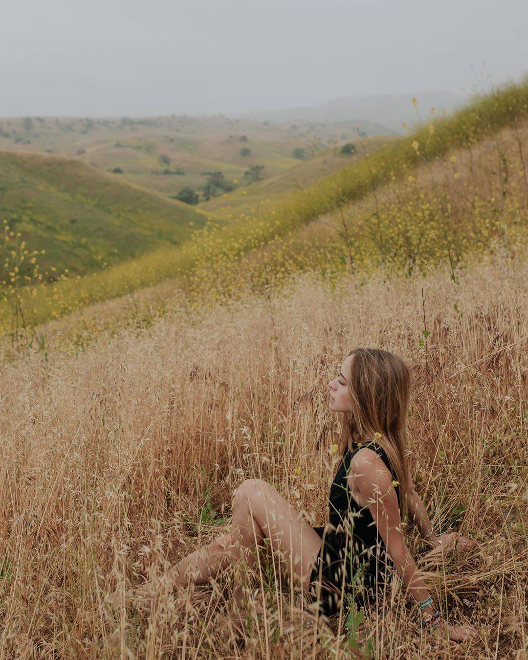 Hollywood hills | Scrolller