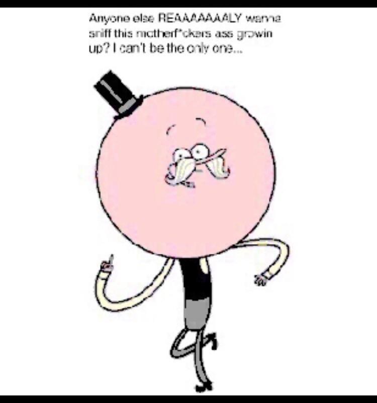 Holy mackerel | Scrolller