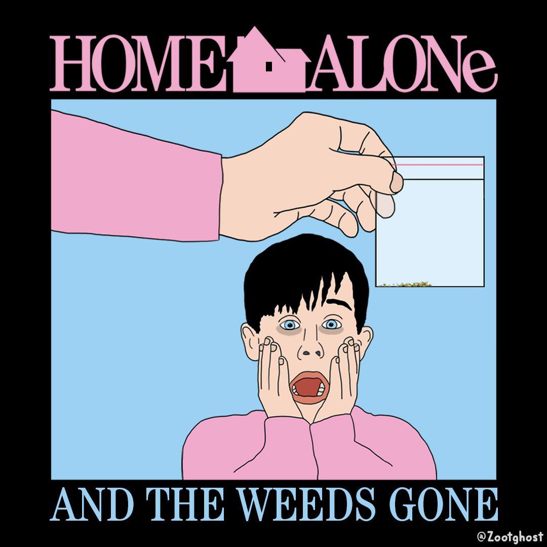 Home Alone | Scrolller