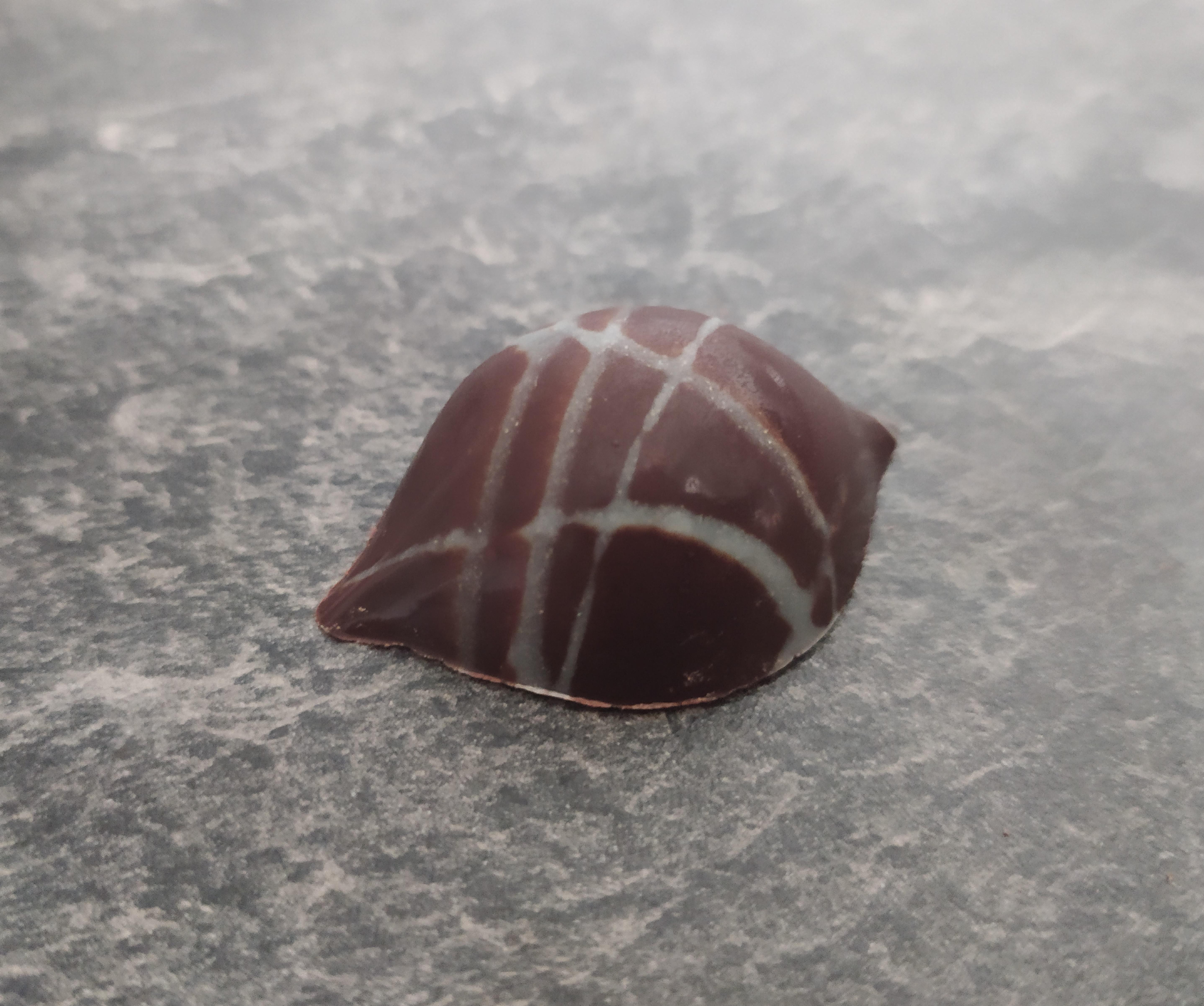 [Homemade] Dark Chocolate Pralines with a Lemon Ganache filling | Scrolller