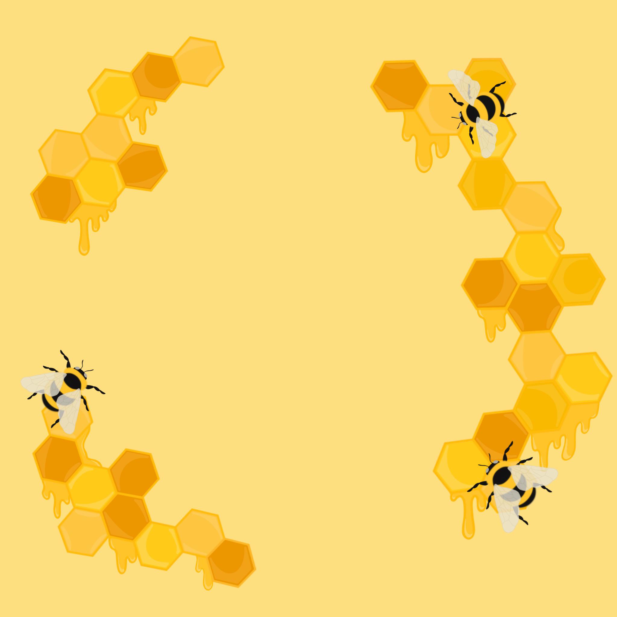 Honey bees 🍯 | Scrolller