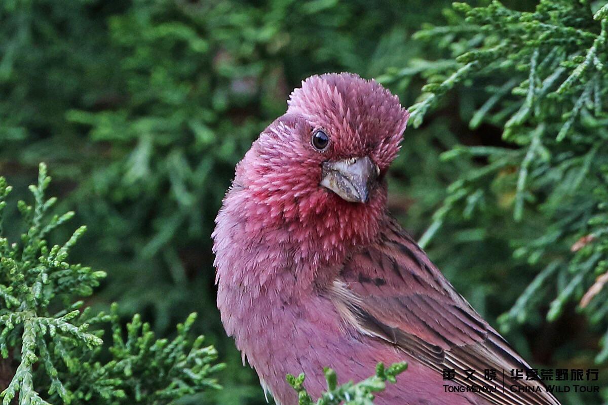 Honey, do I look pretty today? | Scrolller