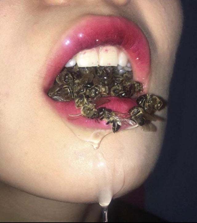 Honey, straight from the source (Marking NSFW because I have no idea what that liquid is, though ...