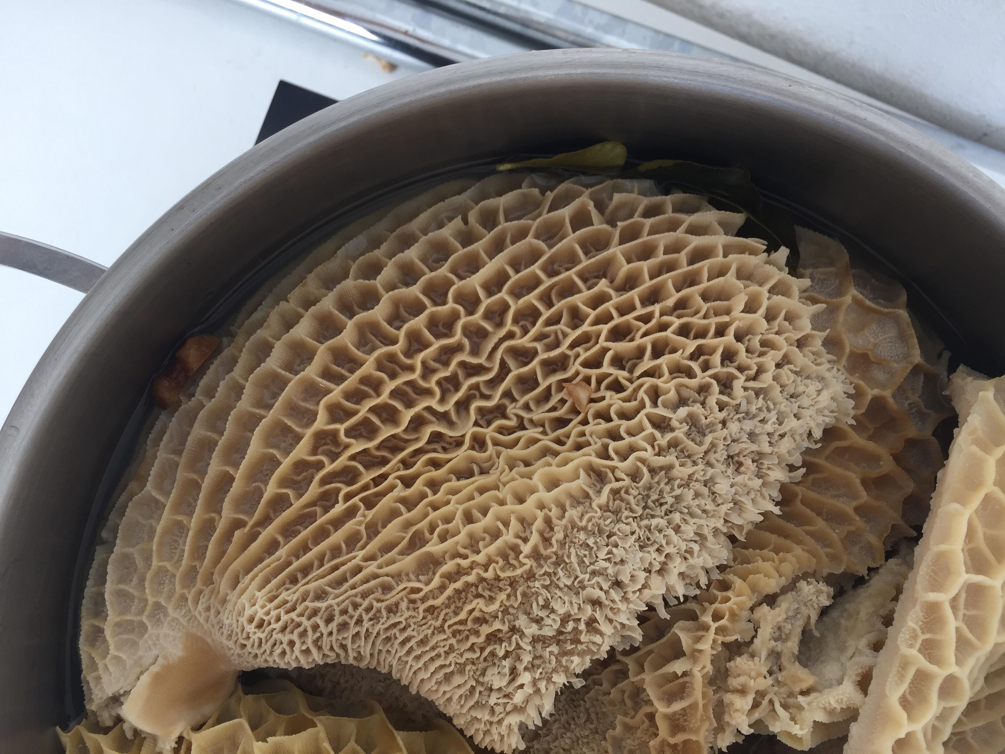 Honeycomb Tripe | Scrolller