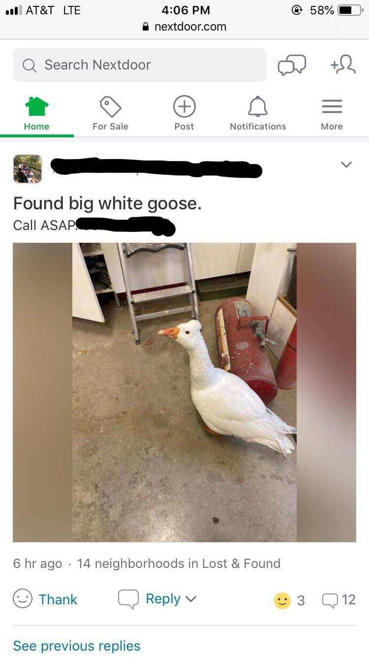 Hope someone calls ASAP for their goose | Scrolller