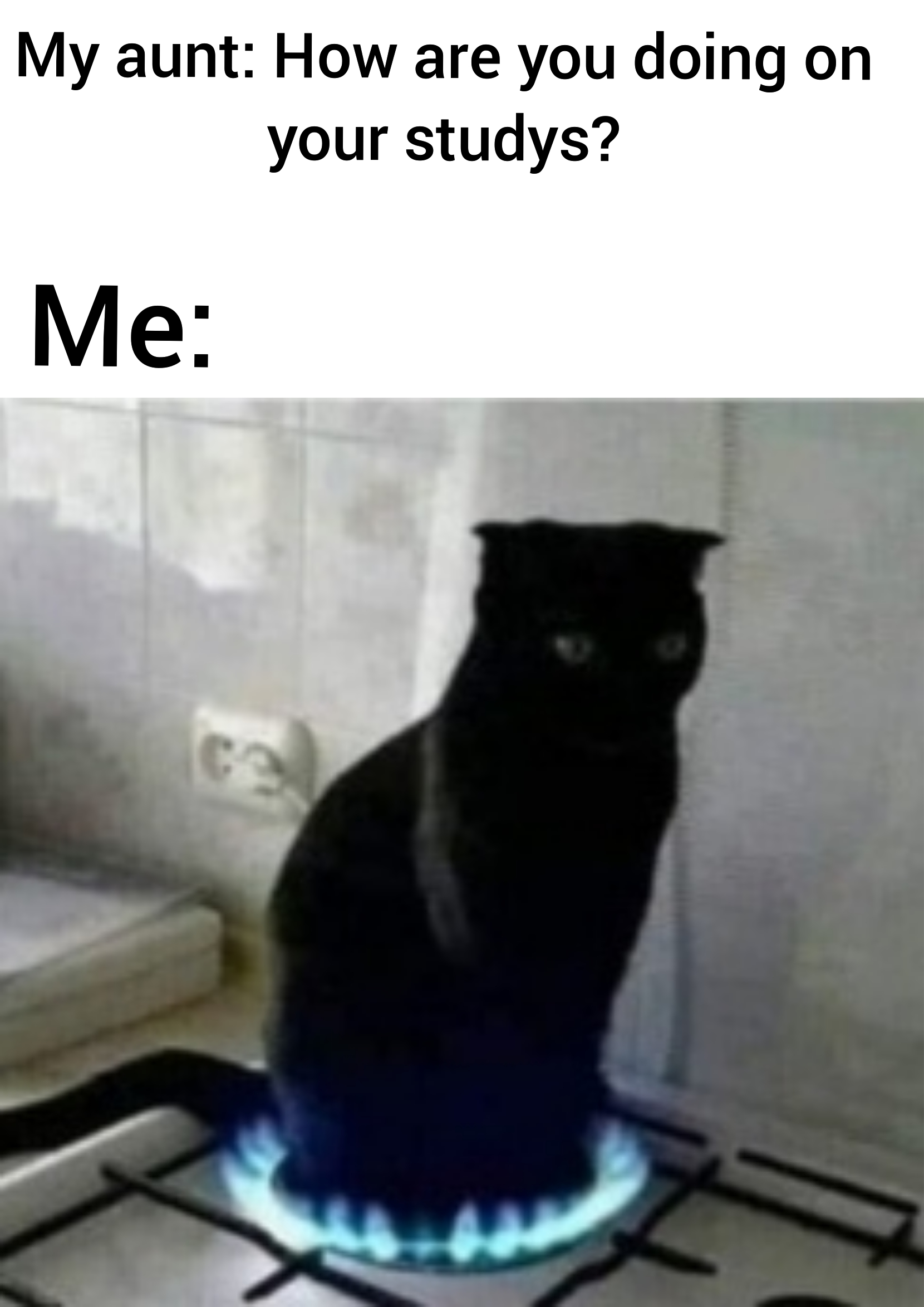 Hope this wasn't done before. | Scrolller