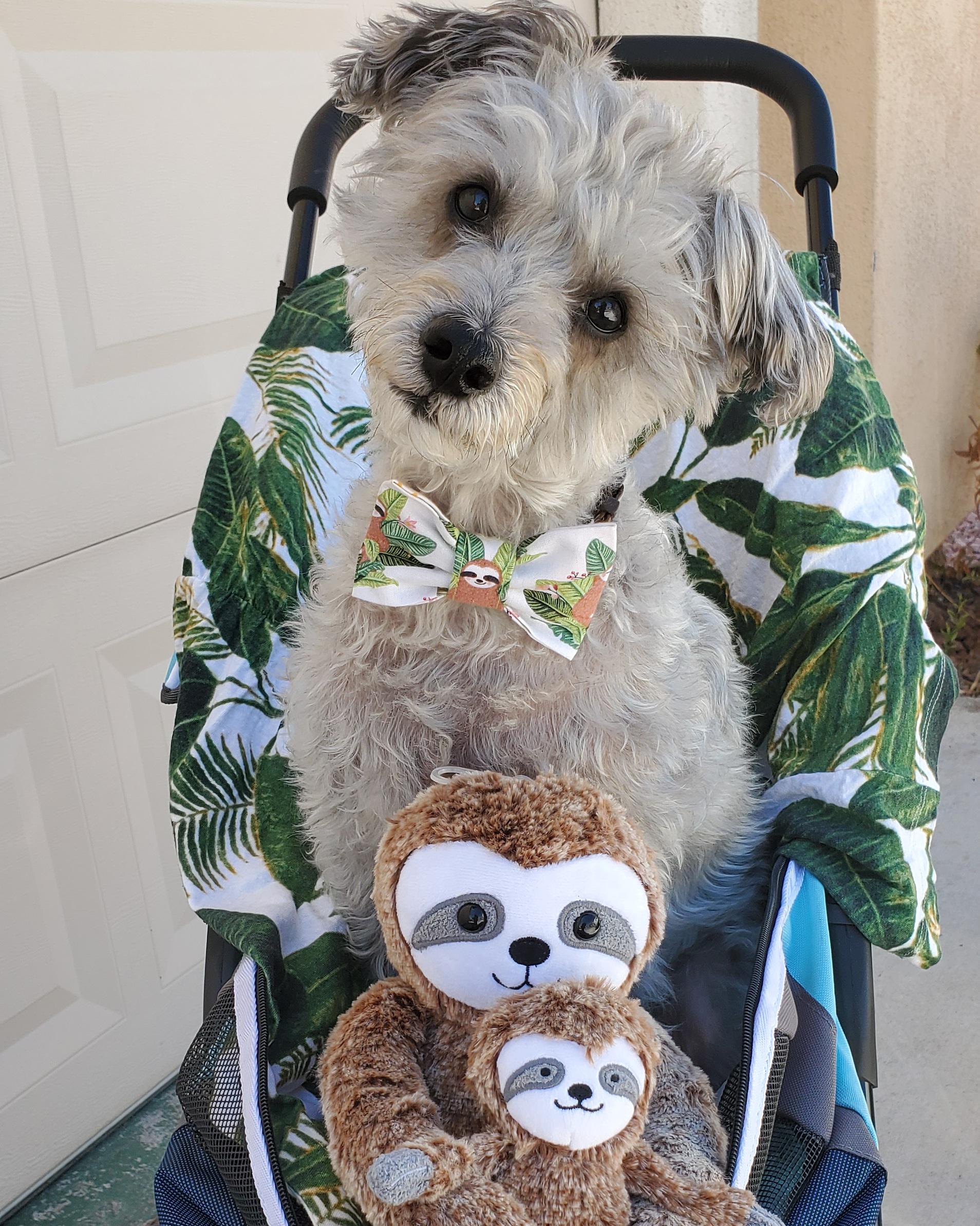 Hope you're having a great day! | Scrolller