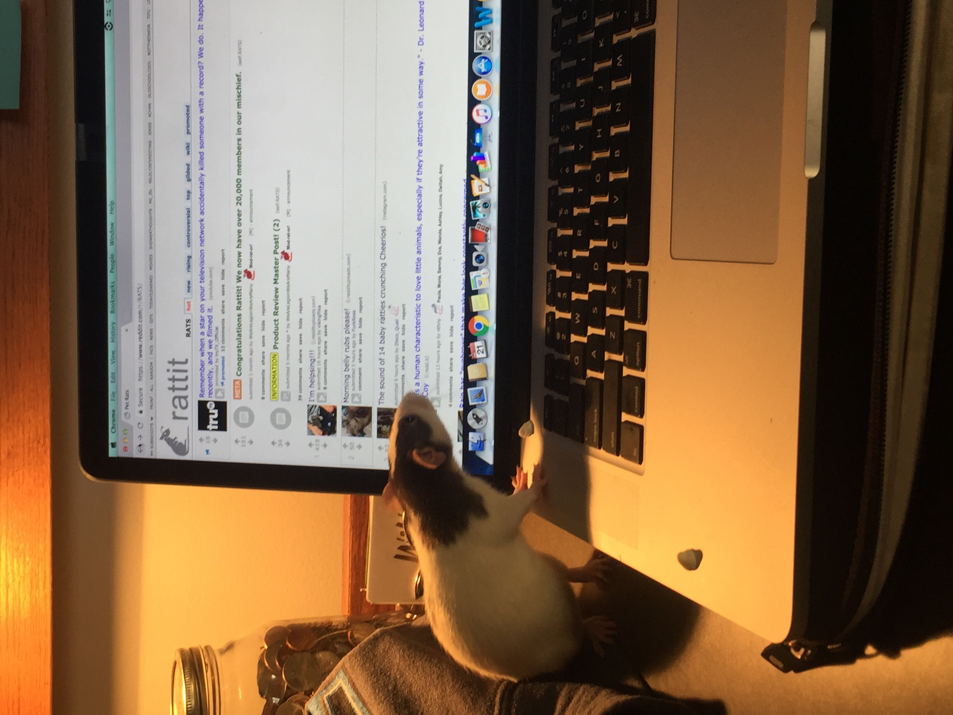 Hoping she can make the front page | Scrolller