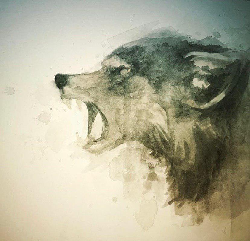 Hopping on the wolf art train, here’s a water color I did | Scrolller