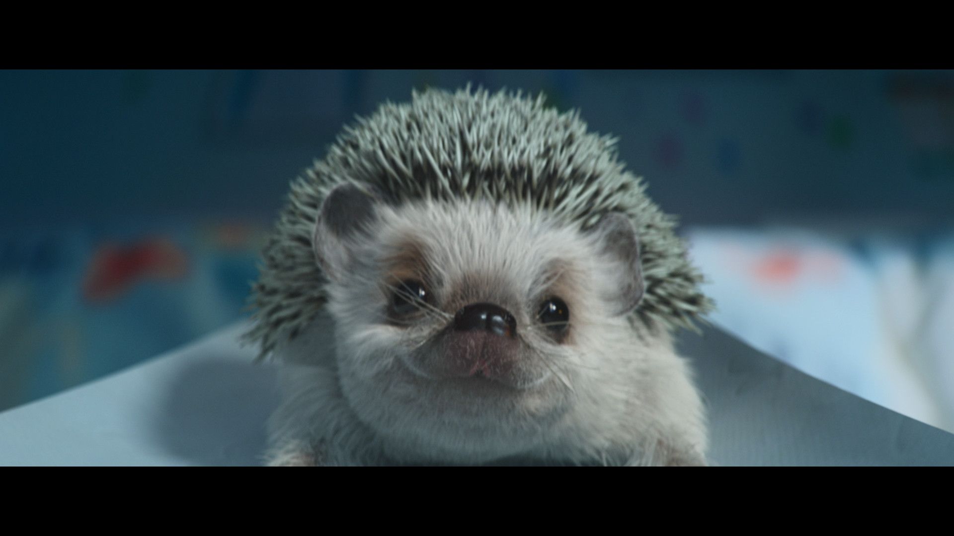 Horace the Hedgehog by Gabriel Salas | Scrolller