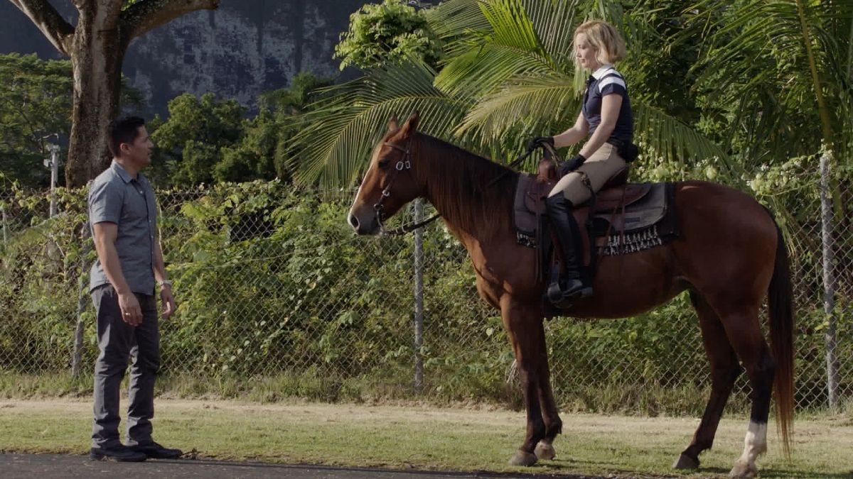 Horse Riding | Scrolller