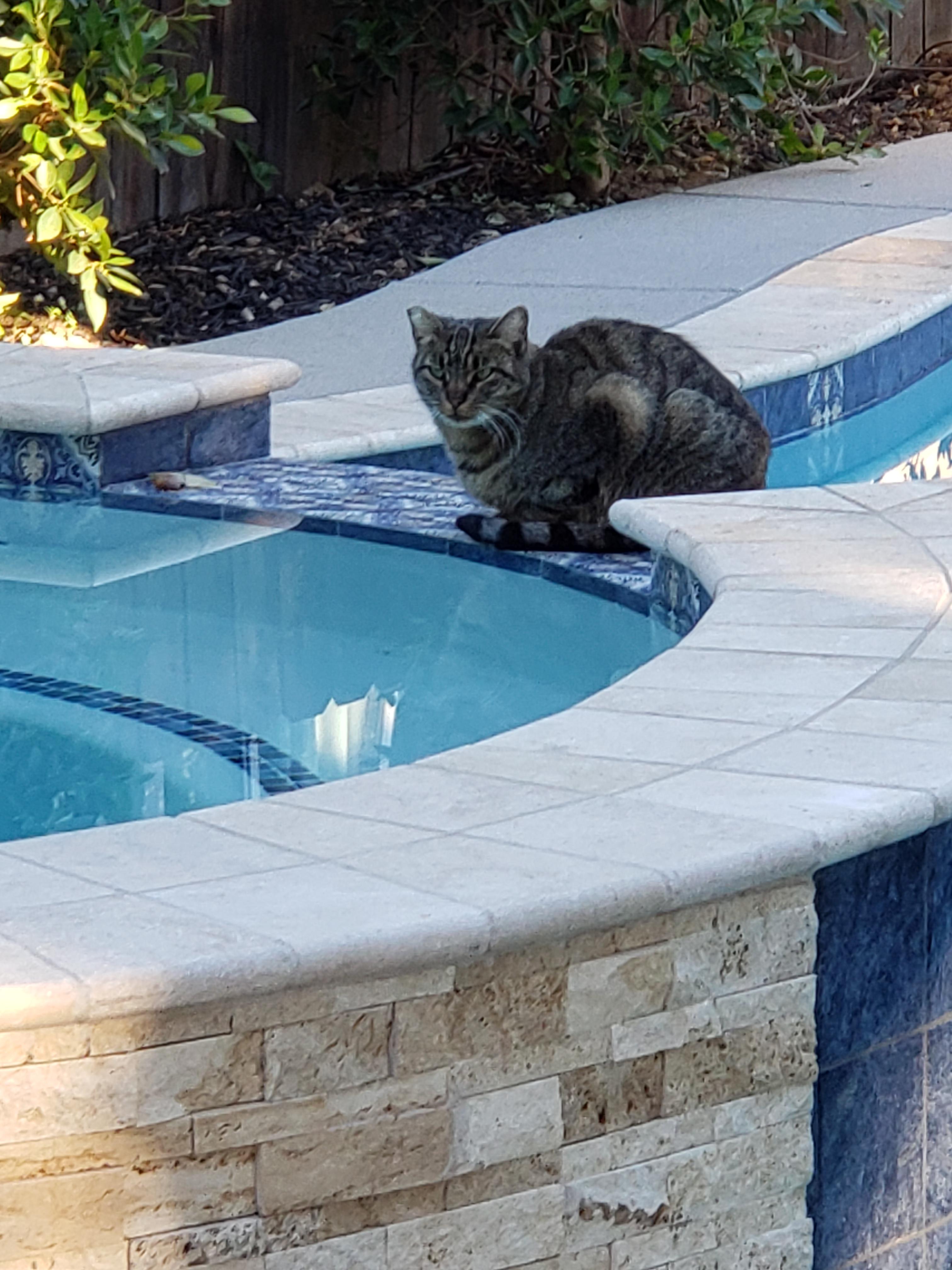 Hot Tub Loaf | Scrolller