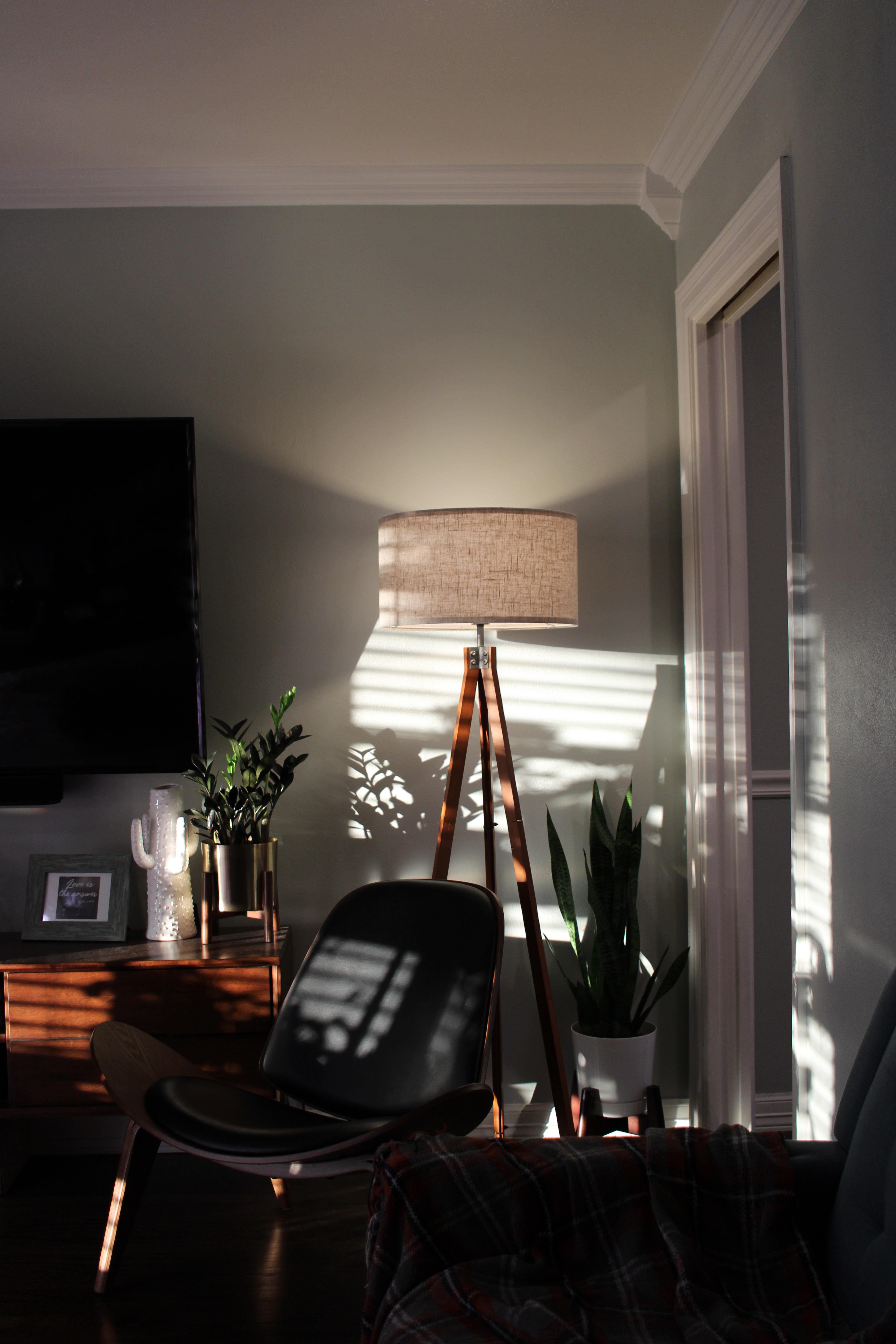 Houston, TX | Scrolller