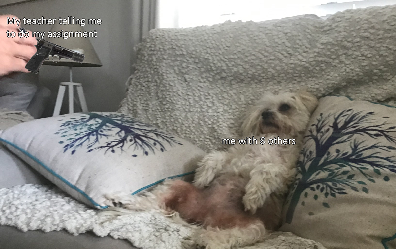 how are we meant to do all 10314900914891 assignments | Scrolller