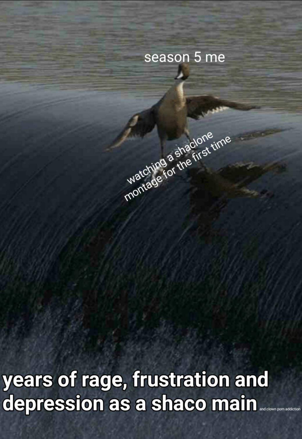 How it all began, Day 25 | Scrolller