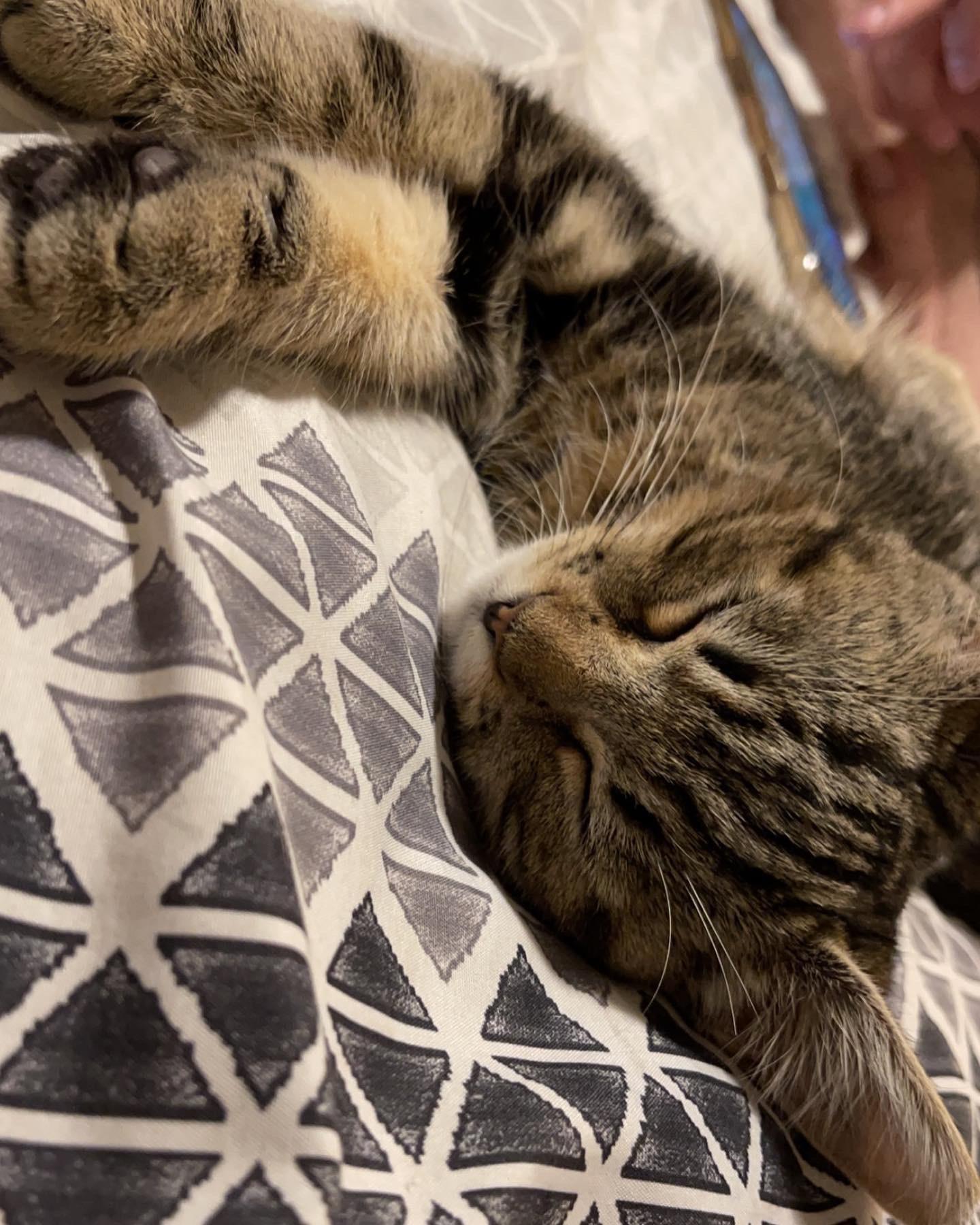 How precious 🥺 | Scrolller