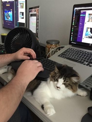 How Rude | Scrolller