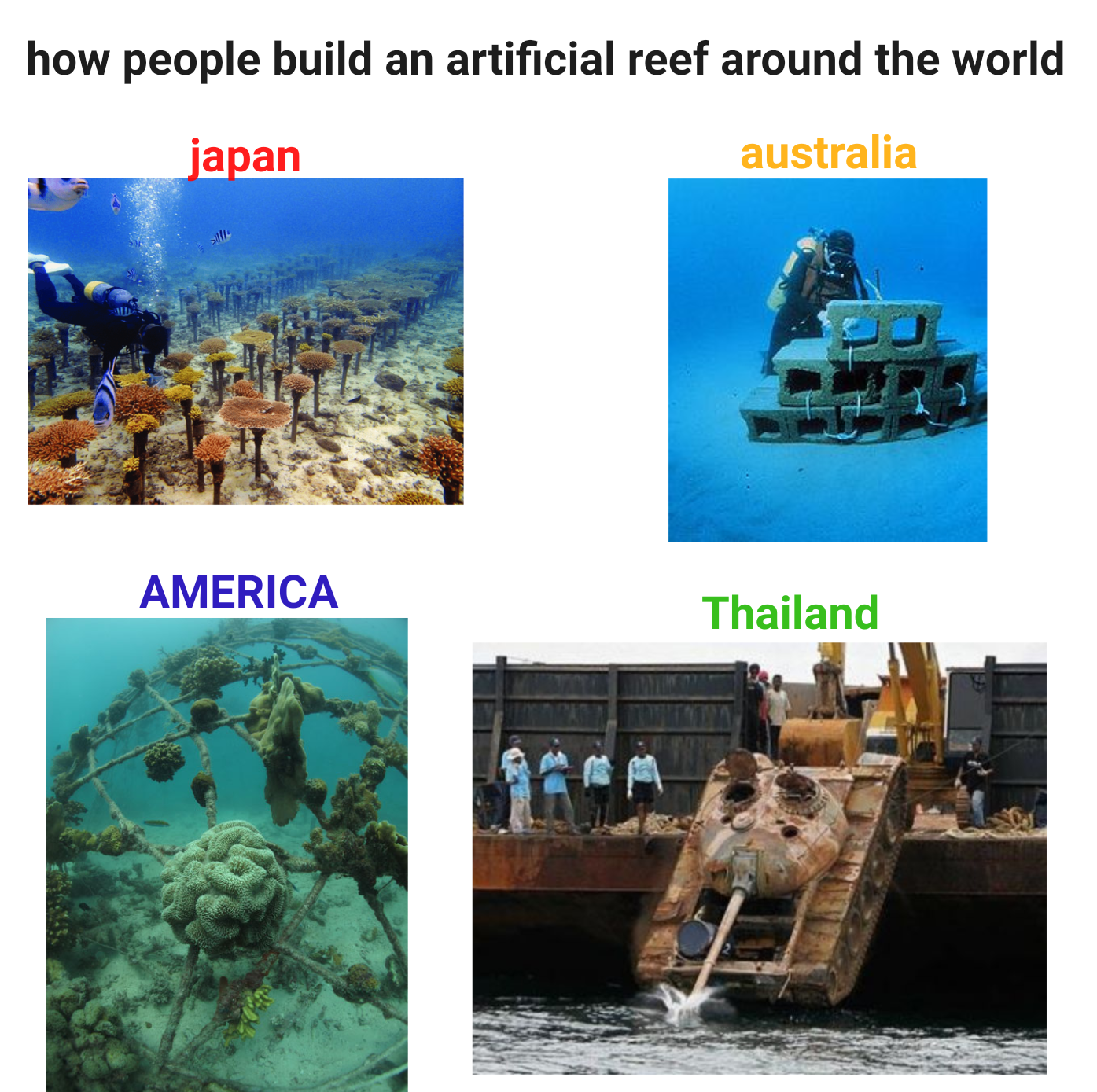 How to build a reef | Scrolller