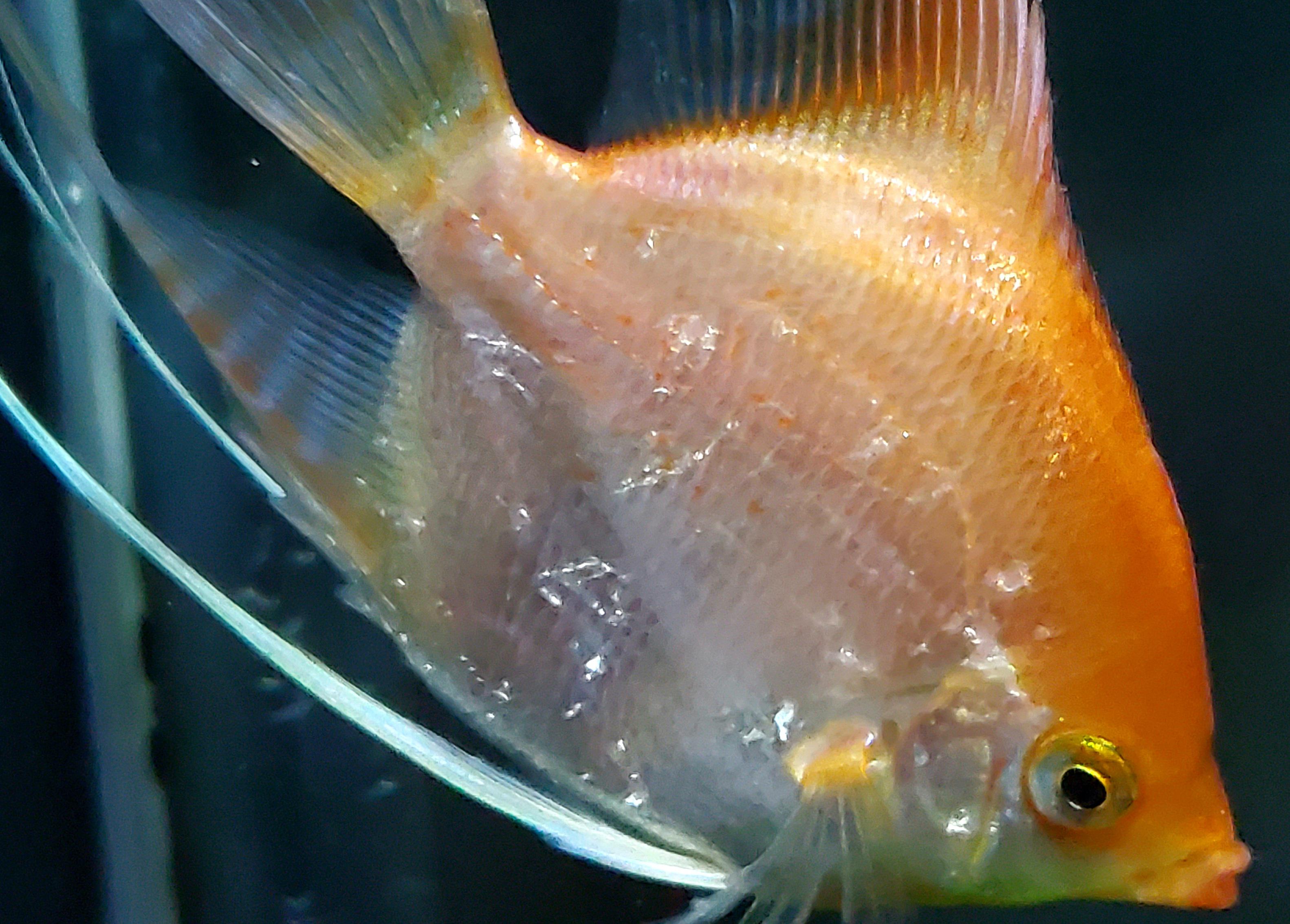 How to: couples therapy | Scrolller