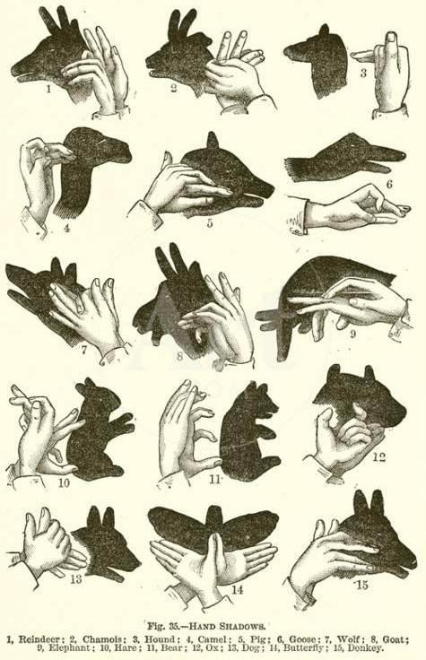 how to make some shadow puppets :) | Scrolller