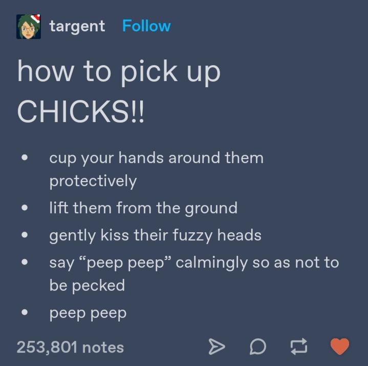 How to pick up chicks | Scrolller