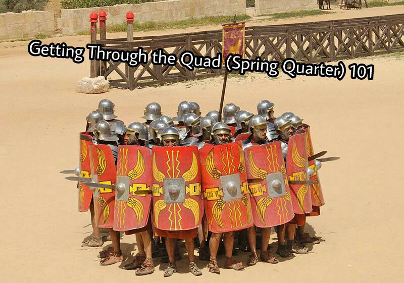 How to Properly Traverse the Quad Throughout the Day | Scrolller