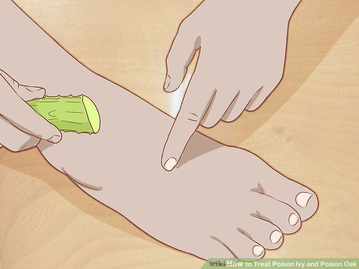 How to teach human anatomy to your dill pickle. | Scrolller
