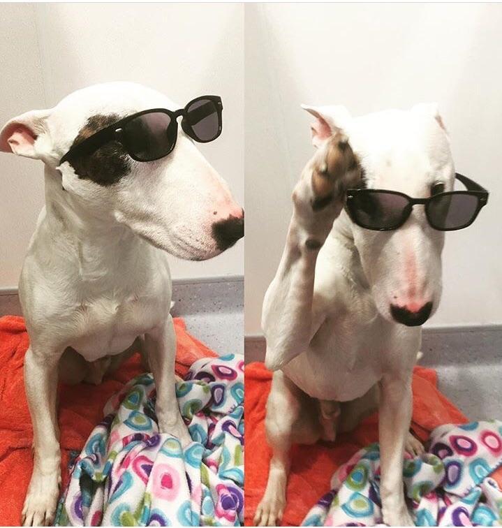 How YOU doin’? | Scrolller