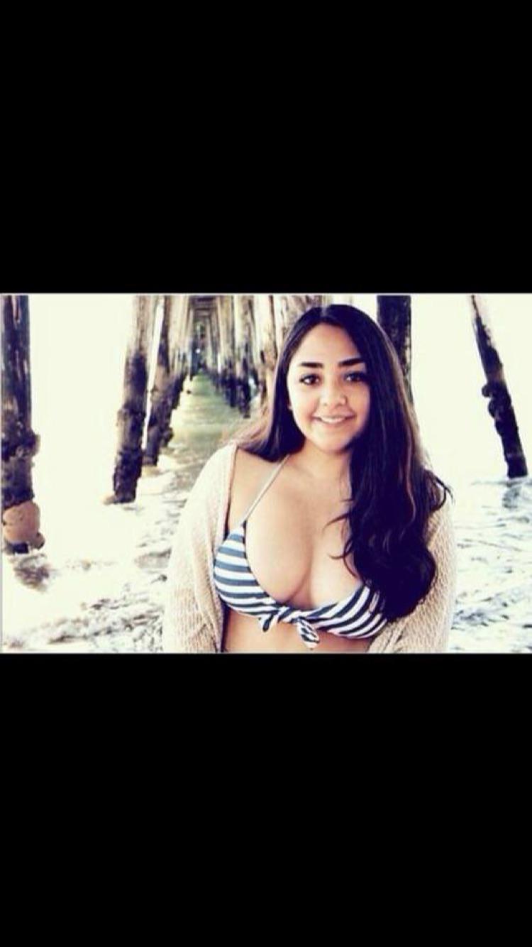 Huge Persian milkers | Scrolller