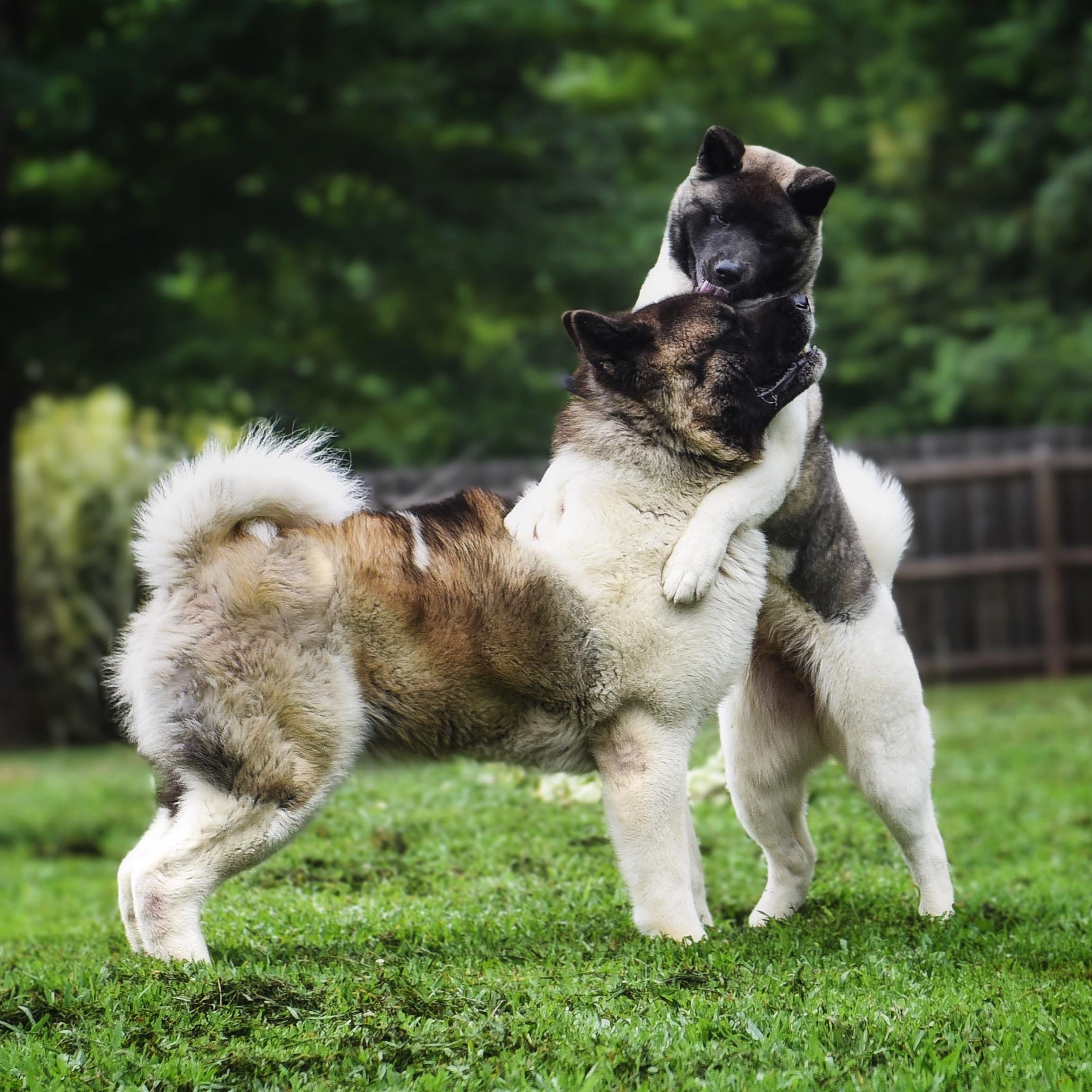 Hugs for Uncle Z. | Scrolller