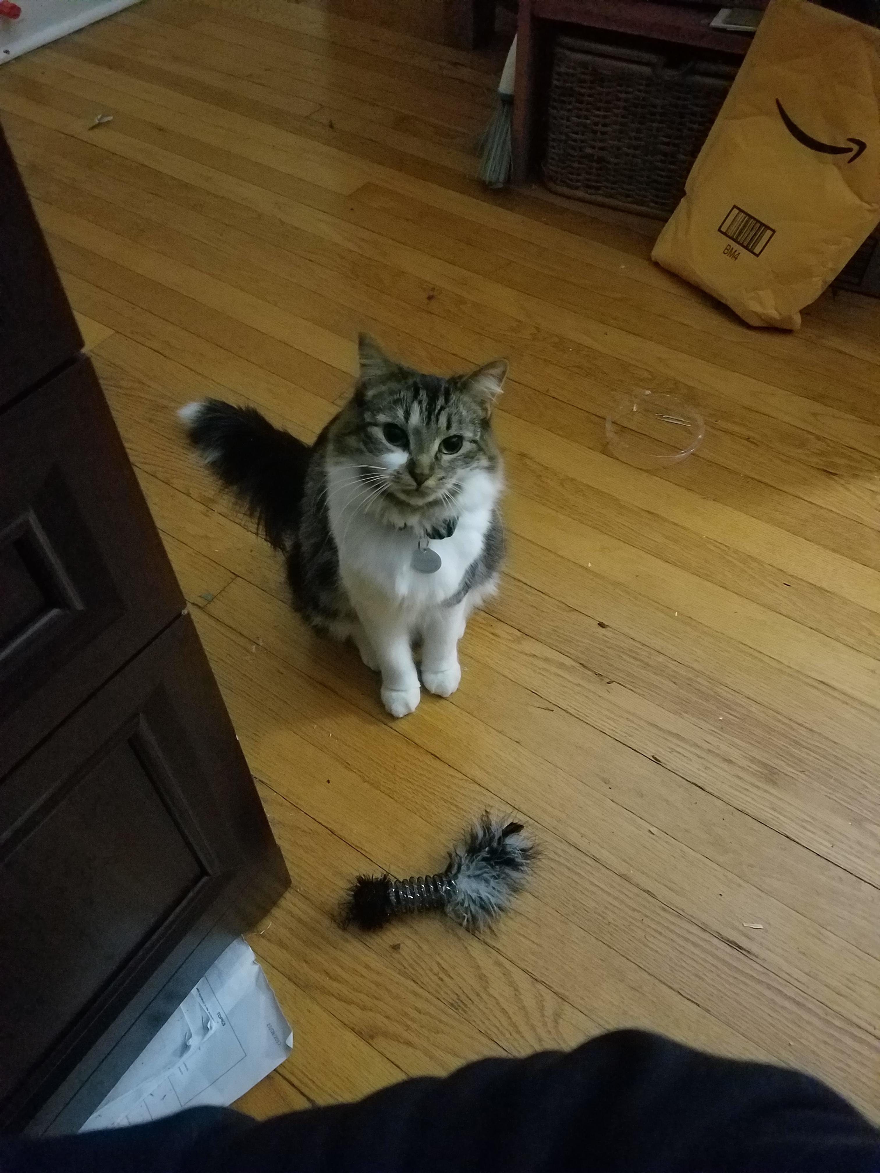 Human, I have need of your throwing hand. | Scrolller