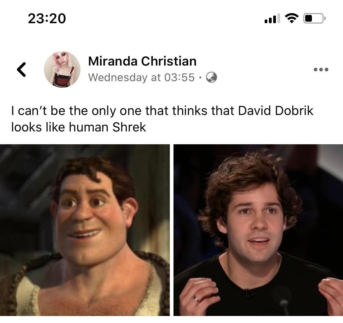 Human Shrek | Scrolller